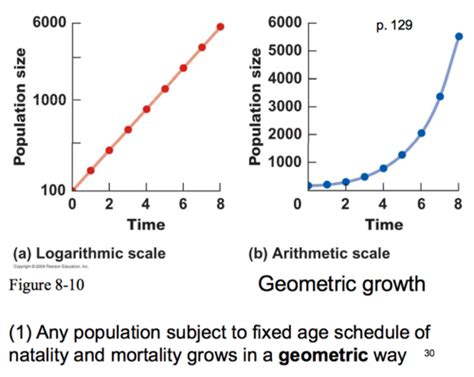 Chapter Population Growth And Regulation Flashcards Quizlet