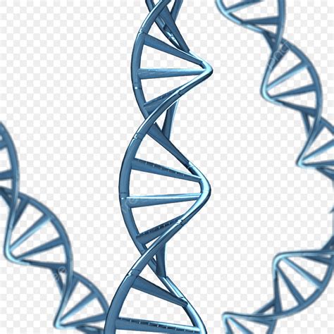 Struttura Realistica Del Dna 3d Dna 3d Realistico File PNG E PSD Per