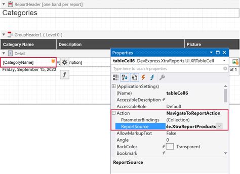 Reporting Early Access Preview V Native Angular Report Viewer