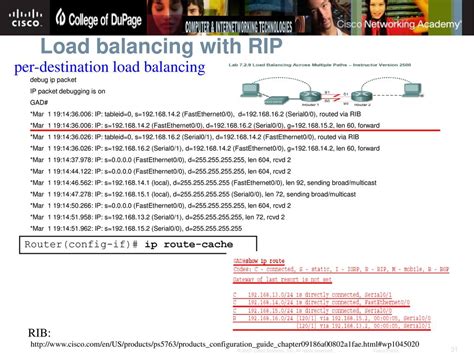 introduction to dynamic routing protocol ppt download