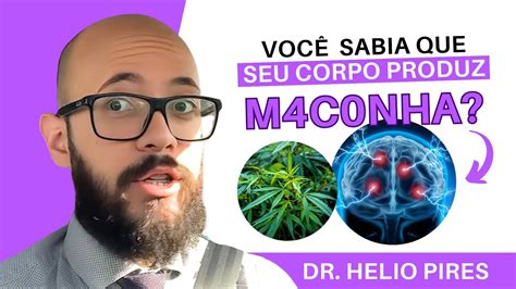 Você sabia que seu corpo produz maconha Dr Helio Pires YouTube