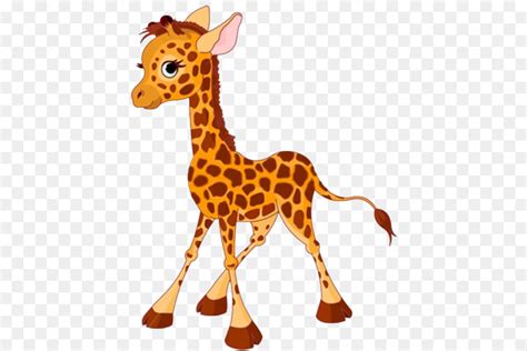 Baby Giraffes Giraffe Cartoon Cleanpng Kisspng Clip Art Library