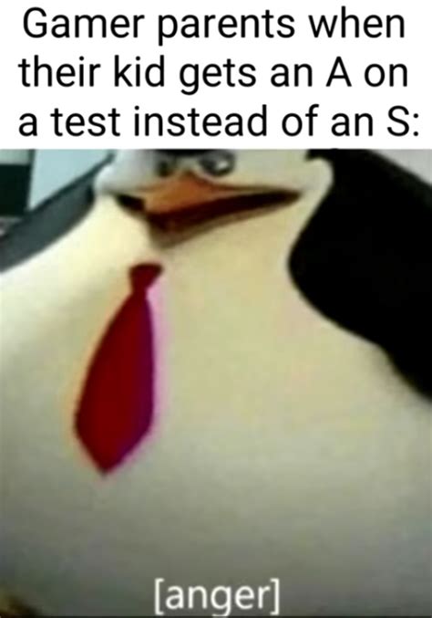 Memedroid Meme By Memesimp Memedroid