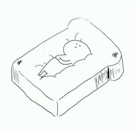 Daum 카페