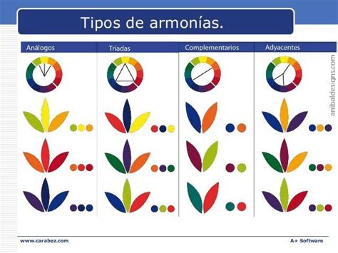 Armonizar El Color Implica Seleccionar Un Recorte Una Gama O Una