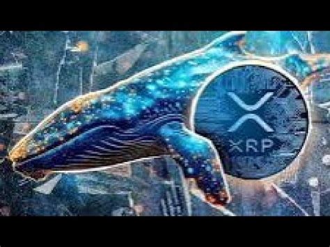 RIPPLE ROTEIRO INSANO O Que VAI Acontecer Daqui Pra Frente NA XRP
