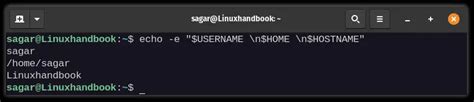 How To Print Environment Variables In Linux