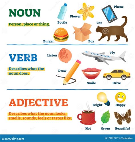 Nouns Verbs And Adjectives School Study Guide Vector Illustration