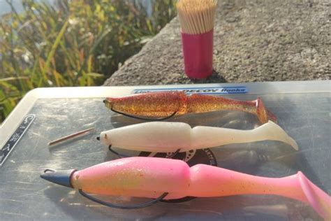 10 leurres pour pêcher le bar depuis le bord Ultimate Fishing Soft