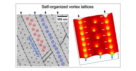 Nematically Templated Vortex Lattices In Superconducting FeSe Nano