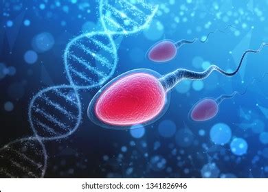 Human Sperm Cell On Microscope Scientific Stock Illustration