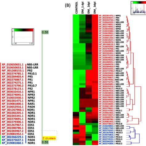 Heat Maps Illustrating The Differential Expression Patterns For