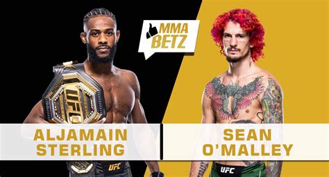 Ufc Aljamain Sterling Vs Sean Omalley Preview Prediction And