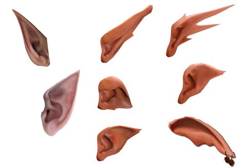 Collection Of Elf Ears Png Pluspng