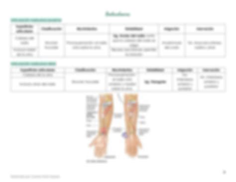 SOLUTION Articulaciones Miembro Superior Studypool