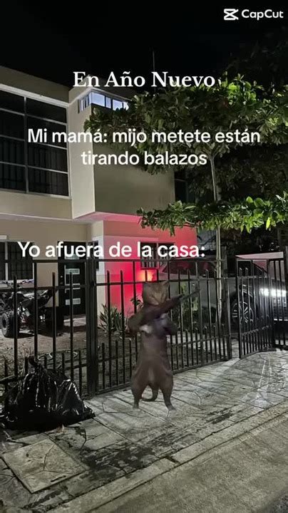 Meme de Feliz año nuevo 2024 Meme subido por Novamarvels Memedroid