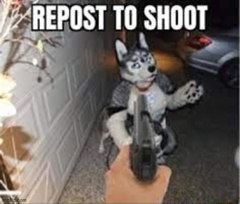 Repost To Shoot Imgflip