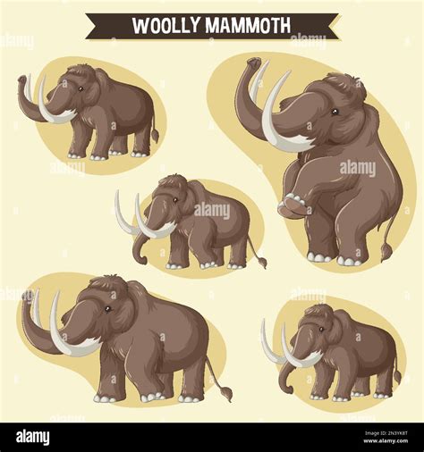 Set Of Woolly Mammoth Sticker Illustration Stock Vector Image Art Alamy