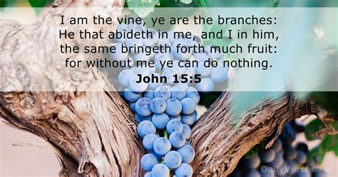 John 15 5 Bible Verse KJV DailyVerses Net