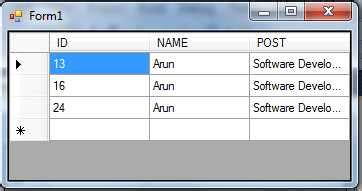 Bind Dataset To DataGridView C MindStick