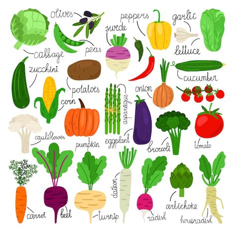 Colección de verduras de dibujos animados Vector Premium