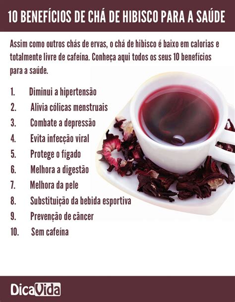 Como Fazer o Chá de Hibisco Gelado Passo a Passo Mundo Ecologia