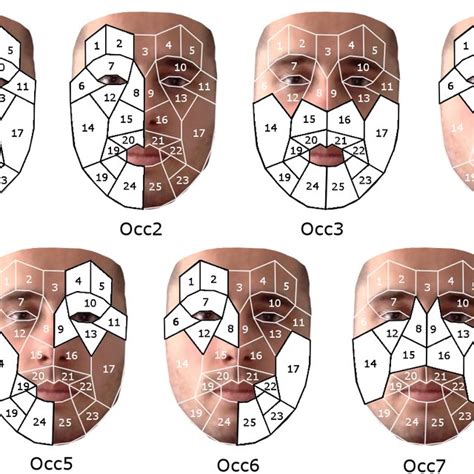 facial movement in the presence of partial face occlusion download scientific diagram