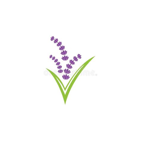 Lavender Flower Vector Icon Illustration Stock Vector Illustration Of