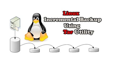 day 5 task advanced linux shell scripting for devops engineers with user management