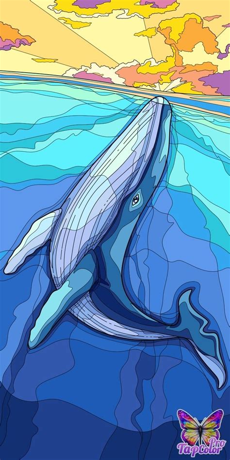 Pin By Kathleen Faircloth On Coreldraw Sea Life Art Whale Art Fish Art