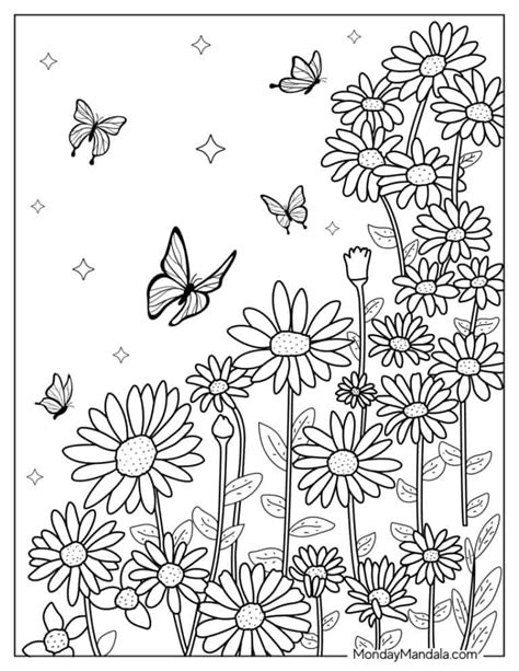 20 Daisy Coloring Pages Free PDF Printables