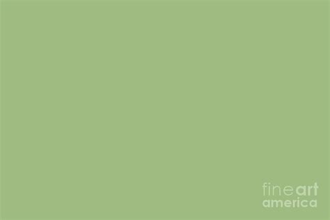 Bright Sage Dark Pastel Green Solid Color Pairs To Sherwin Williams