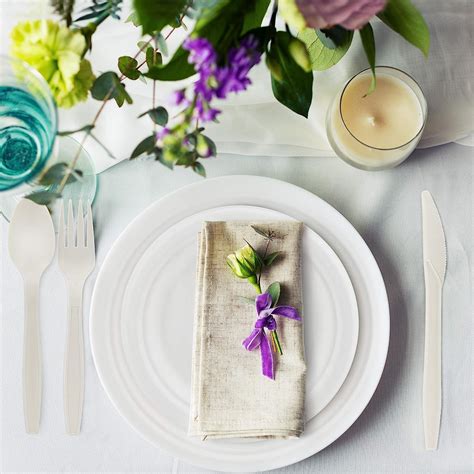 BIRCHIO 250 Piece Biodegradable Paper Plates Set Eco Friendly
