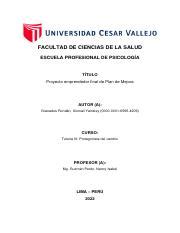Proyecto Emprendedor De Plan De Mejora Pdf Facultad De Ciencias De La