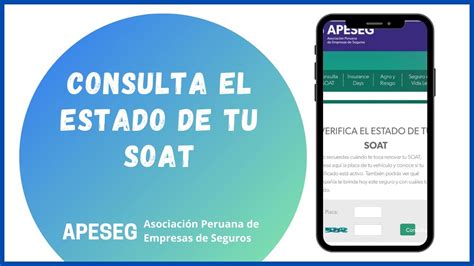 Cómo CONSULTAR el ESTADO DE TU SOAT por PlACA en PERÚ APESEG YouTube