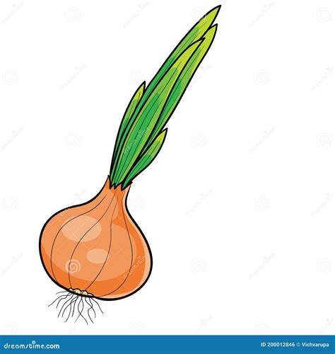 Cebolla Con Plumas Verdes Ilustración De Dibujos Animados Objeto