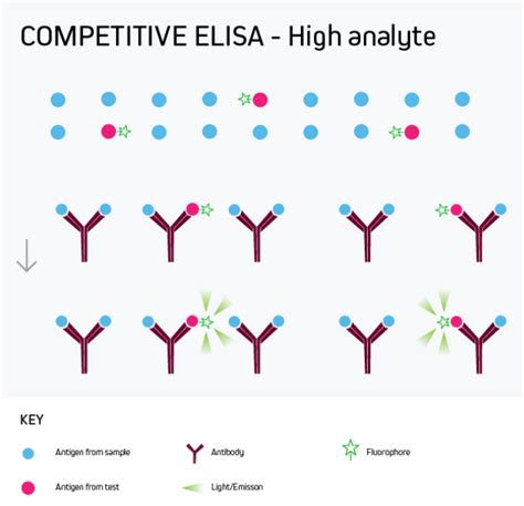 Elisa Guide Part Introduction To Elisa Formats And Signal