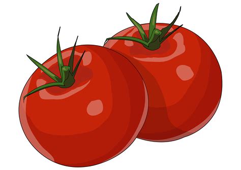 Un Tomate Furioso Una Ilustraci N De Dibujos Animados De Un Tomate Con