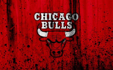 Chicago Bulls Logo History