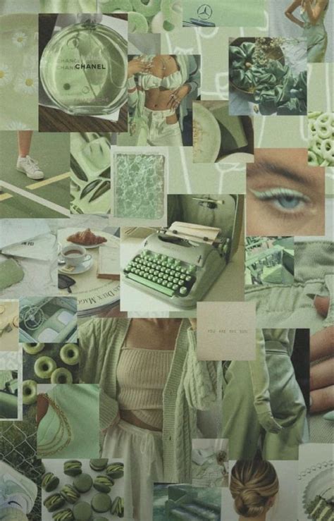 Discover 73 Sage Green Wallpaper Collage In Cdgdbentre