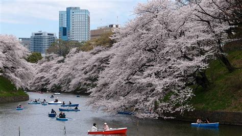 Quelle Est La Meilleure P Riode Pour Visiter Le Japon Au Soleil Levant