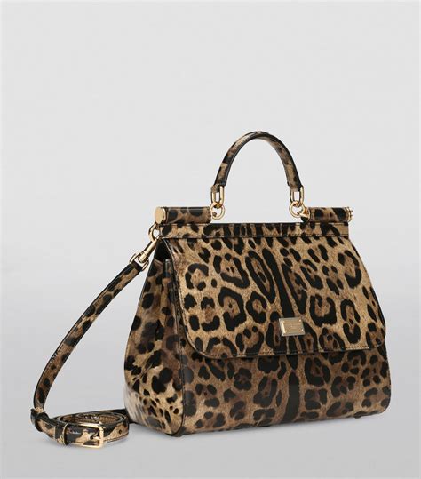 Womens Dolce Gabbana Multi Kim Dolce Gabbana Medium Leopard Print