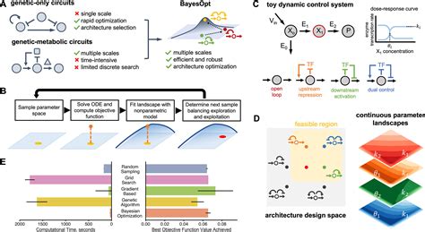 Bayesian Optimization For Design Of Multiscale Biological Circuits