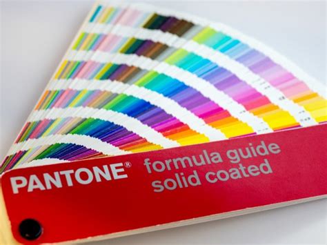 Todo sobre la guía de colores Pantone PintoMiCasa
