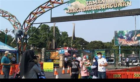 Jadwal Dan Harga Tiket Taman Margasatwa Ragunan Dan Ancol Saat Libur