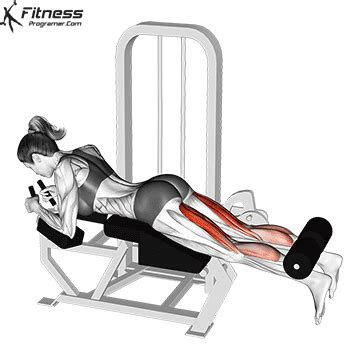 How To Do Leg Curl Muscles Worked And Benefits Leg Curl Lying Leg