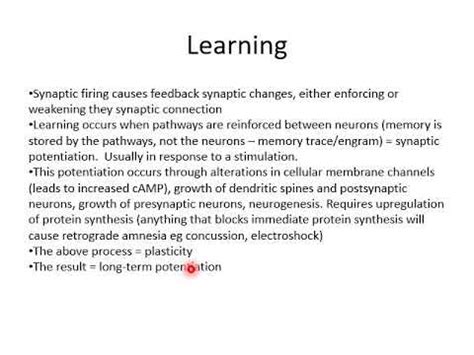 The Physiology Of Learning And Memory YouTube