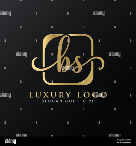 Initial BS Letter Logo Creative Modern Typography Vector Template