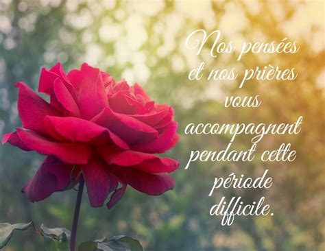 Condoléances pour la perte d un père Message d amour