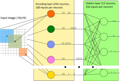 simplified spiking neural network architecture and stdp learning algorithm applied to image